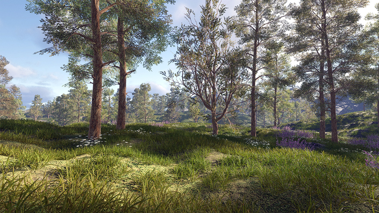 Final result after setting up Nature Renderer